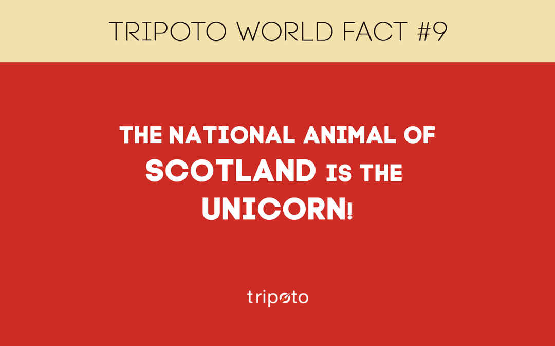 Funny Country Facts