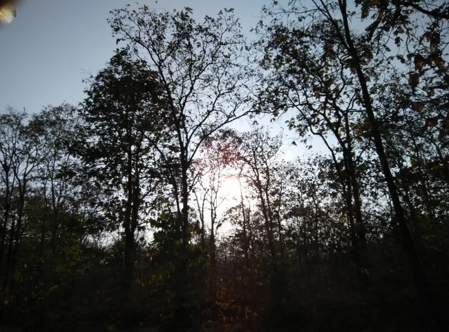 Saputara: Road Trip to Saputara Ghat | How to Reach Saputara From ...