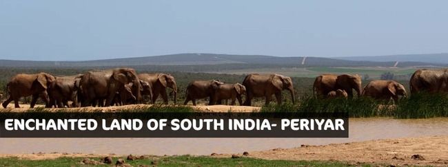 Weekend Getaway to Periyar: The enchanted land of South India - Tripoto