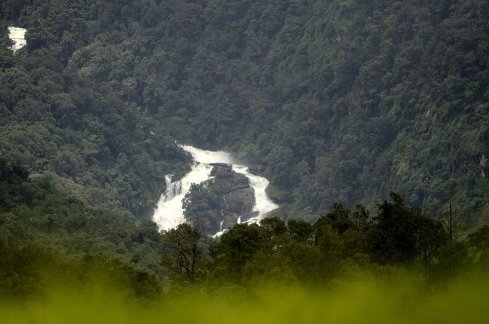 Valparai Forest Trail Road Trip From Kerala To Tamil Nadu Via Athirappilly Tripoto valparai-forest-trail-road-trip-from-kerala-to-tamil-nadu-via-athirappilly-tripoto