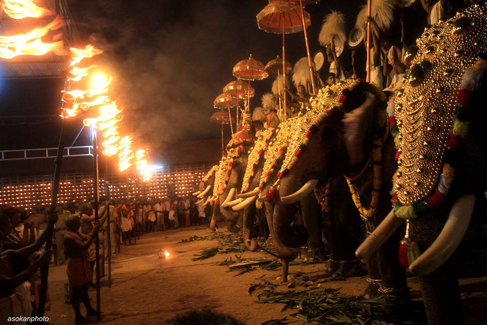 7 Temple Festivals in Kerala That Are a Cultural Extravaganza for Every ...