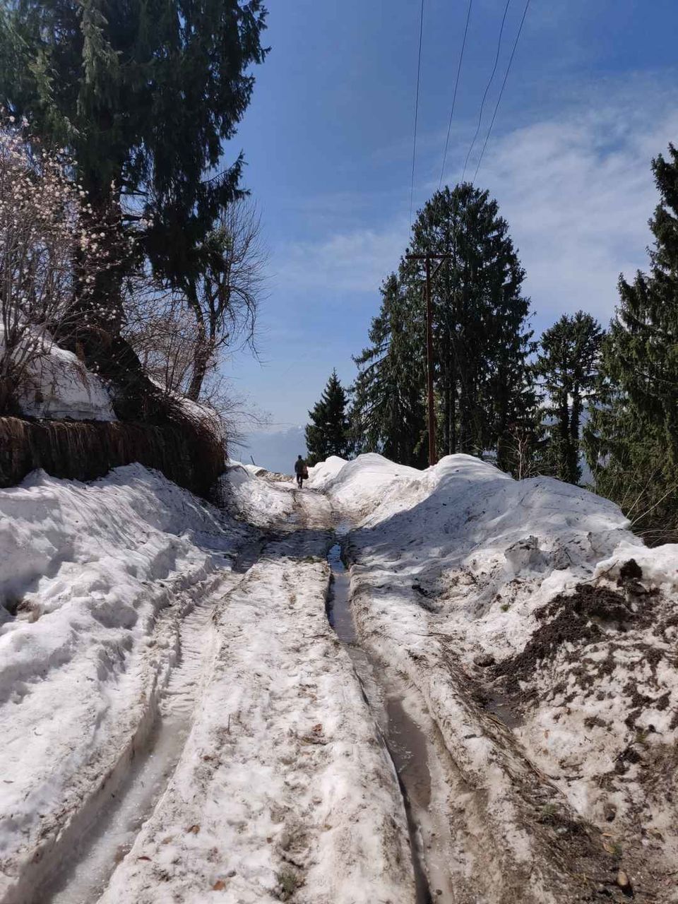 Indias First IGLOO STAY In Sethan: IGLOO Village. My First Ever Igloo ...