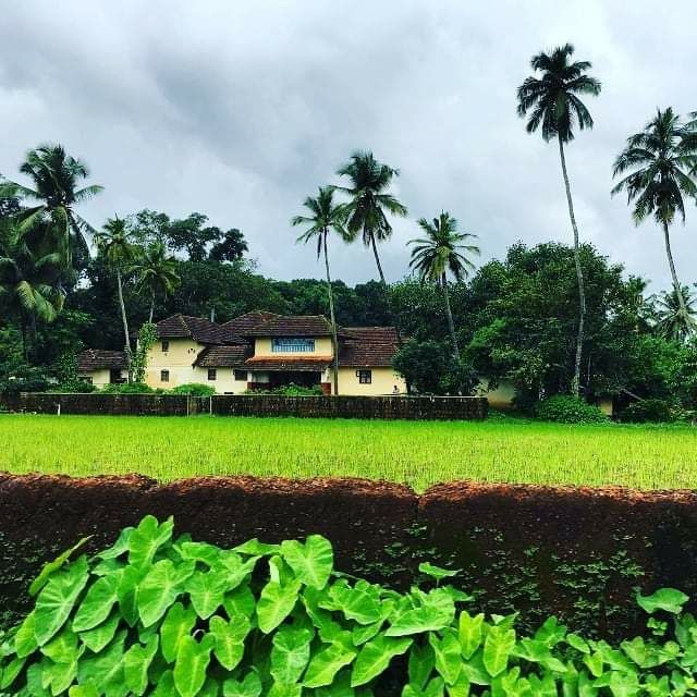 Udupi - Blessed by nature - DestinationSurprise - Tripoto