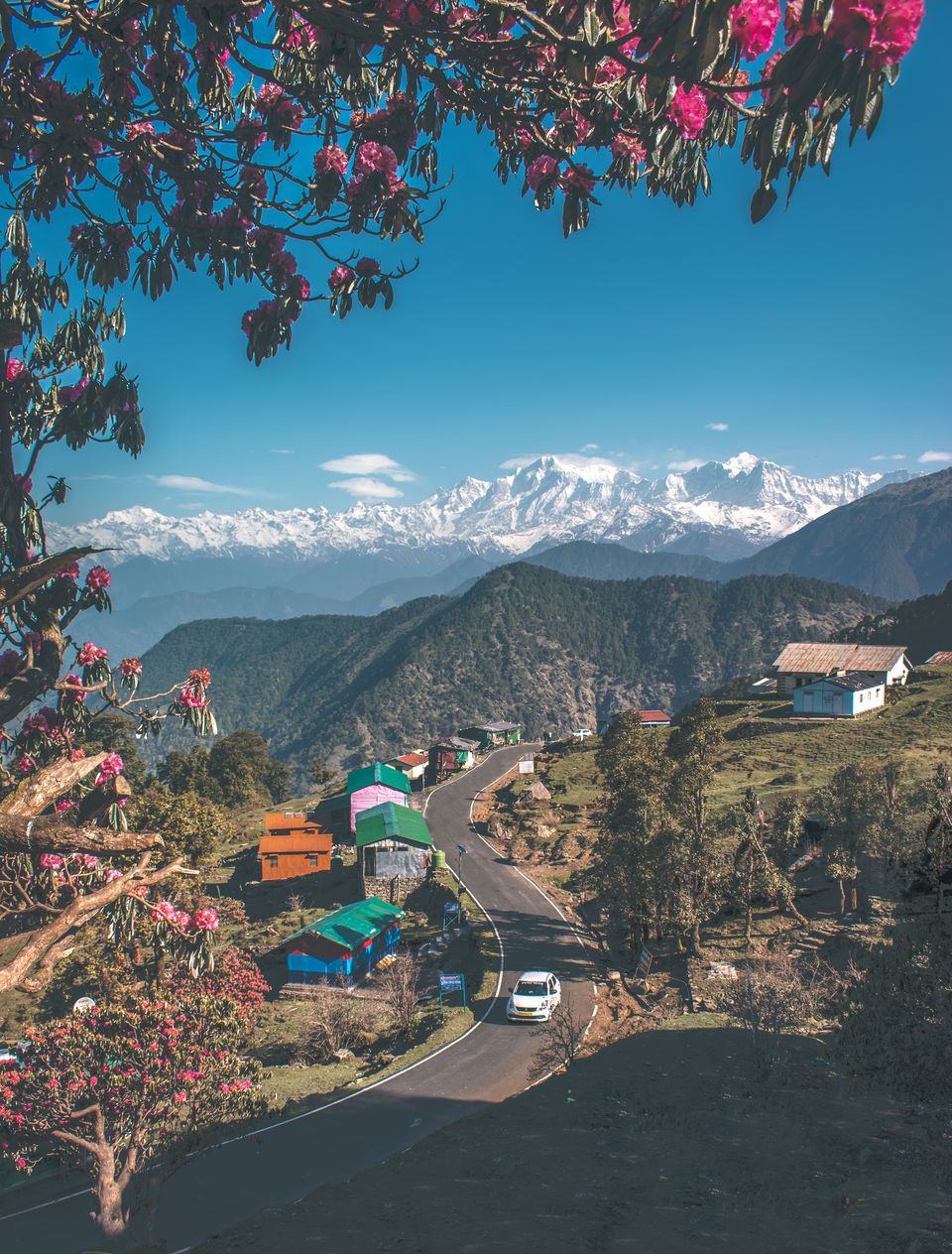 Chopta, the Unsung Paradise in Uttarakhand That No One Talks About ...