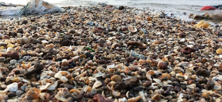 Must Visit Beaches of North Goa - Tripoto