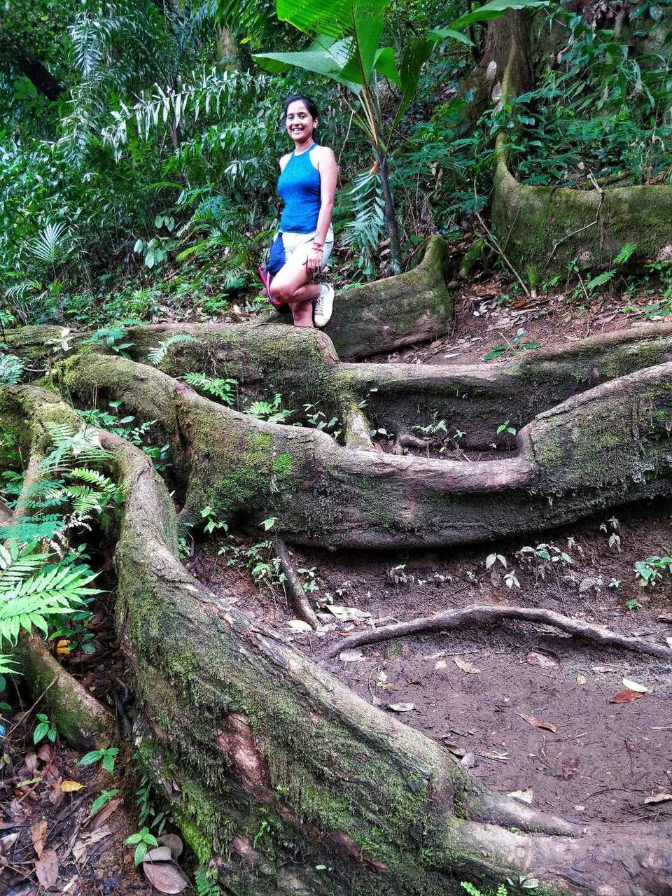 An active day in Mahe, Seychelles: Hiking Copolia Trail - Tripoto