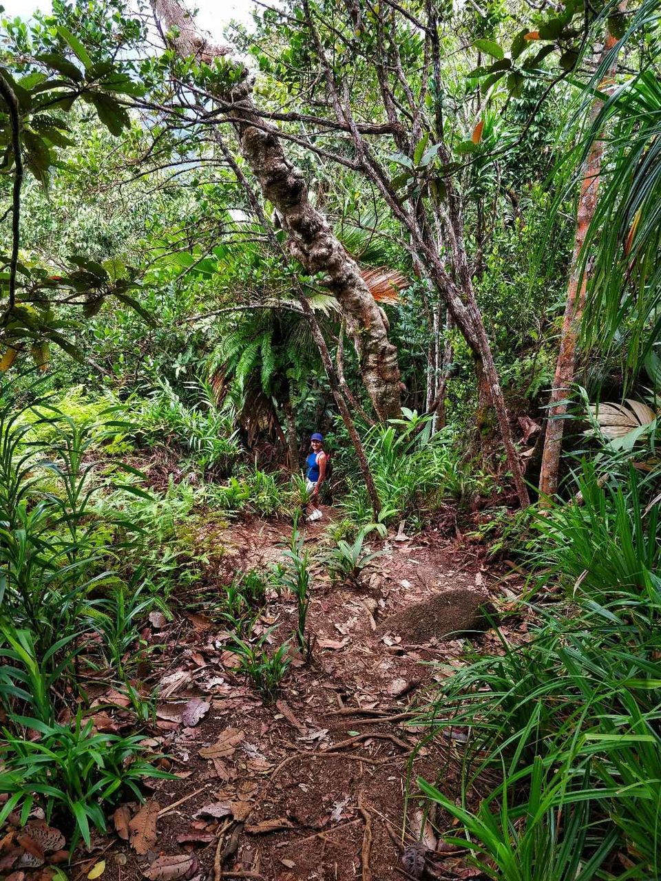An active day in Mahe, Seychelles: Hiking Copolia Trail - Tripoto