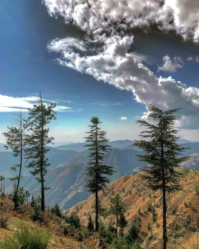 A Little Ahead Of Shimla Lies This Offbeat Paradise - Tripoto
