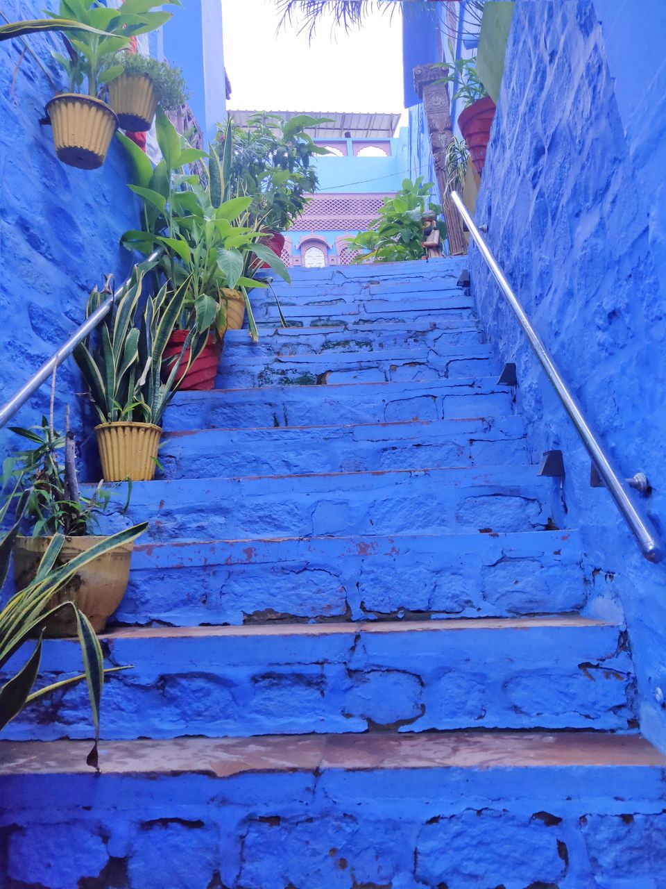 The blue streets of India - Jodhpur - Tripoto