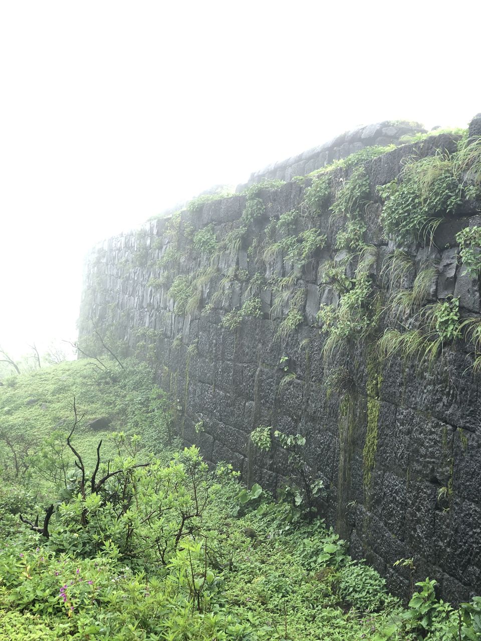 One of the best Monsoon Trek - Visapur Fort (2 Day trip) - Tripoto