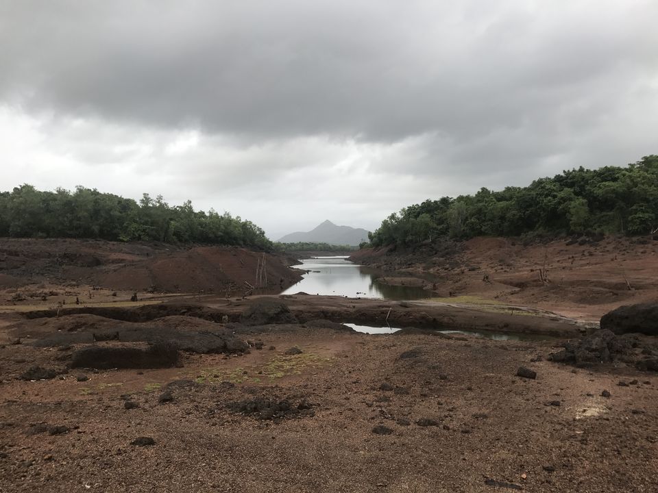 The submerged village Curdi Transplanted Mahadev temple - Tripoto
