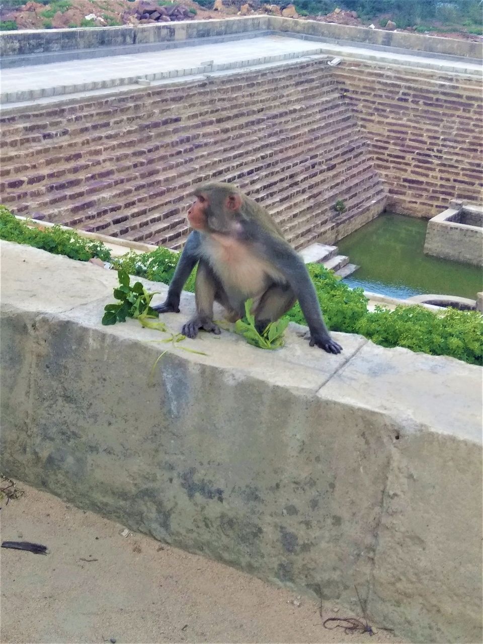 The breathtaking sunset view from the highest point of Srisailam Hills ...