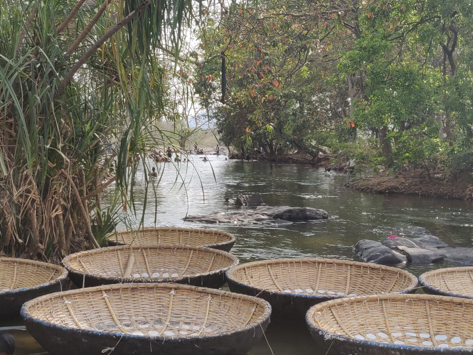 Hogenakkal: A must visit for an Aquaholic - Tripoto