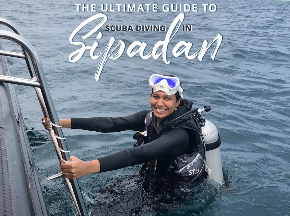 THE ULTIMATE GUIDE TO SCUBA DIVING IN SIPADAN - Tripoto