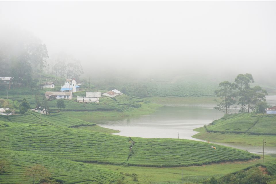 A Weekend is all you need - Madurai to Megamalai - Tripoto