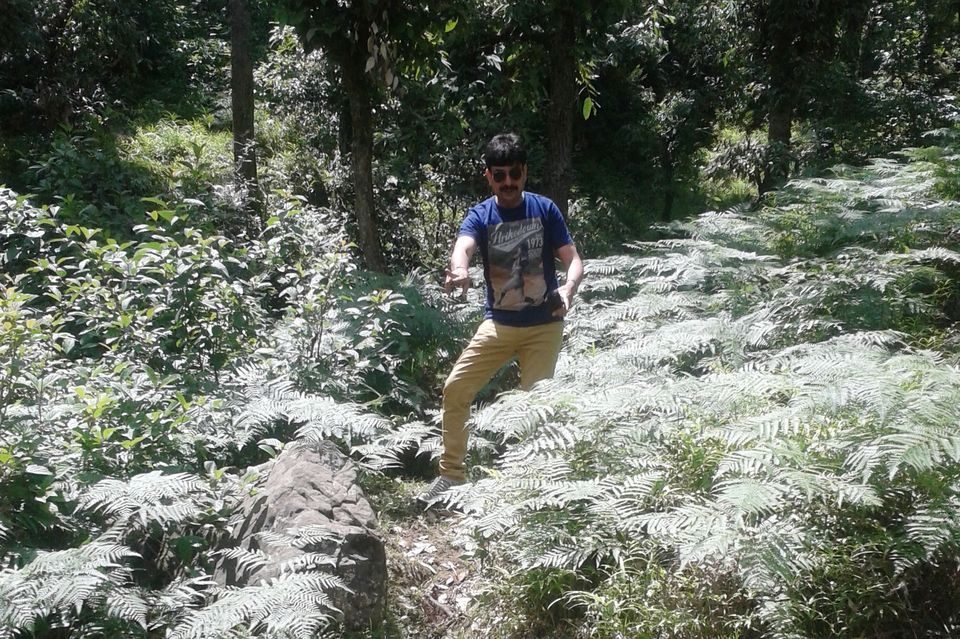 Mongri A little known village hamlet, Abode of Lord Shiva and Parvati ...