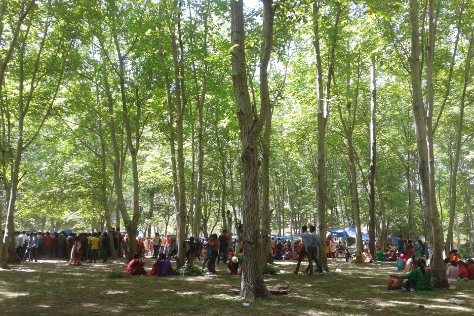 Mongri A little known village hamlet, Abode of Lord Shiva and Parvati ...