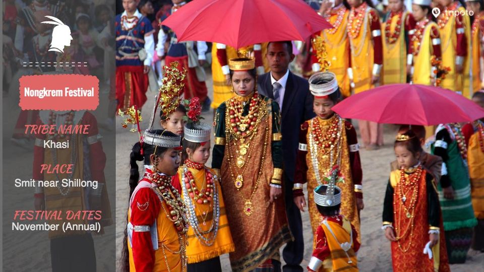 Looking for Different Extravagant Cultures 7 Tribal Festivals in India ...