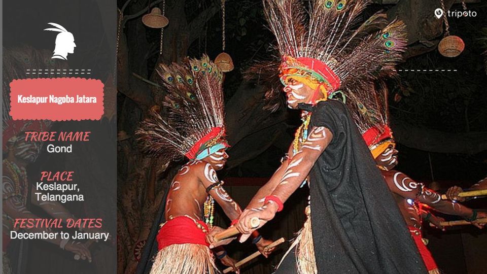 Looking for Different Extravagant Cultures 7 Tribal Festivals in India ...