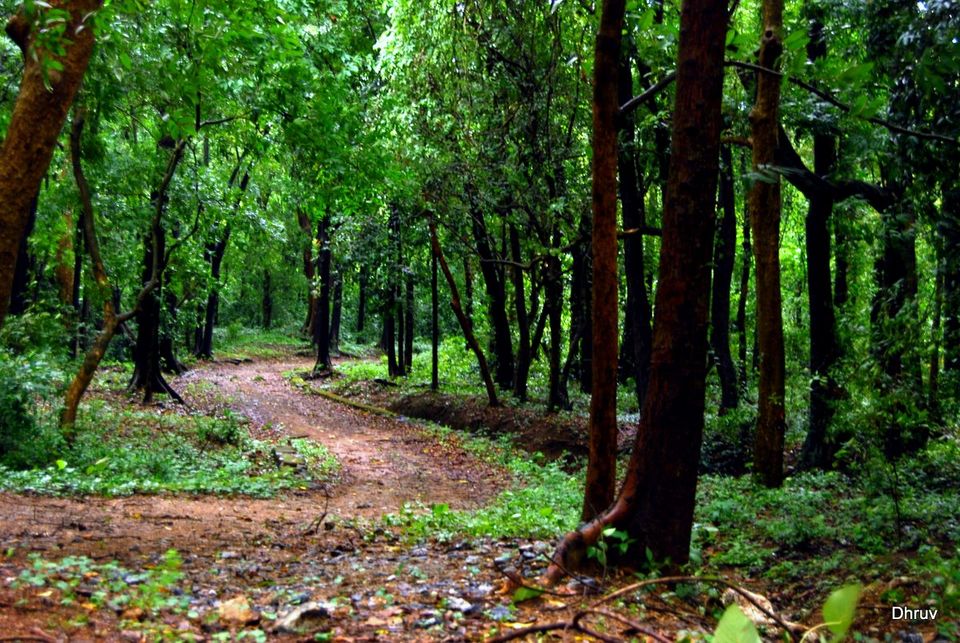 11 Mystical Trails In India Begging To Be Walked - Tripoto