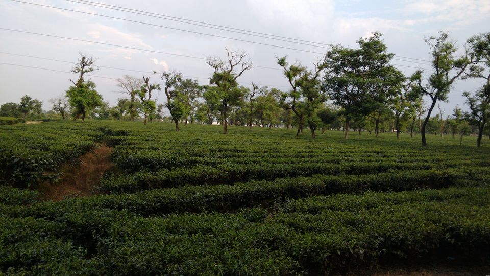 7 reasons why you must visit the princely state of Cooch Behar - Tripoto