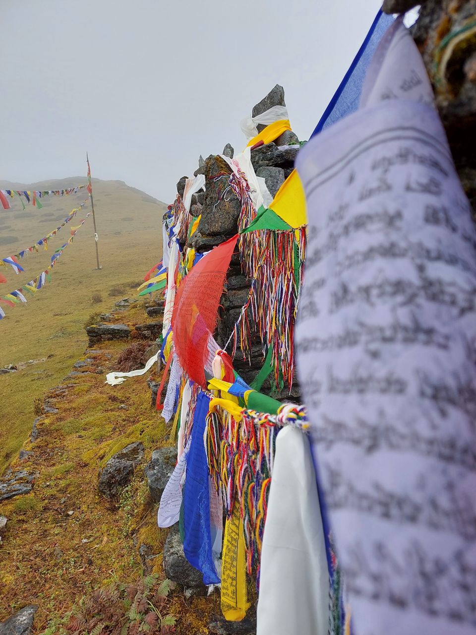 Clouded @Dzongri - Tripoto