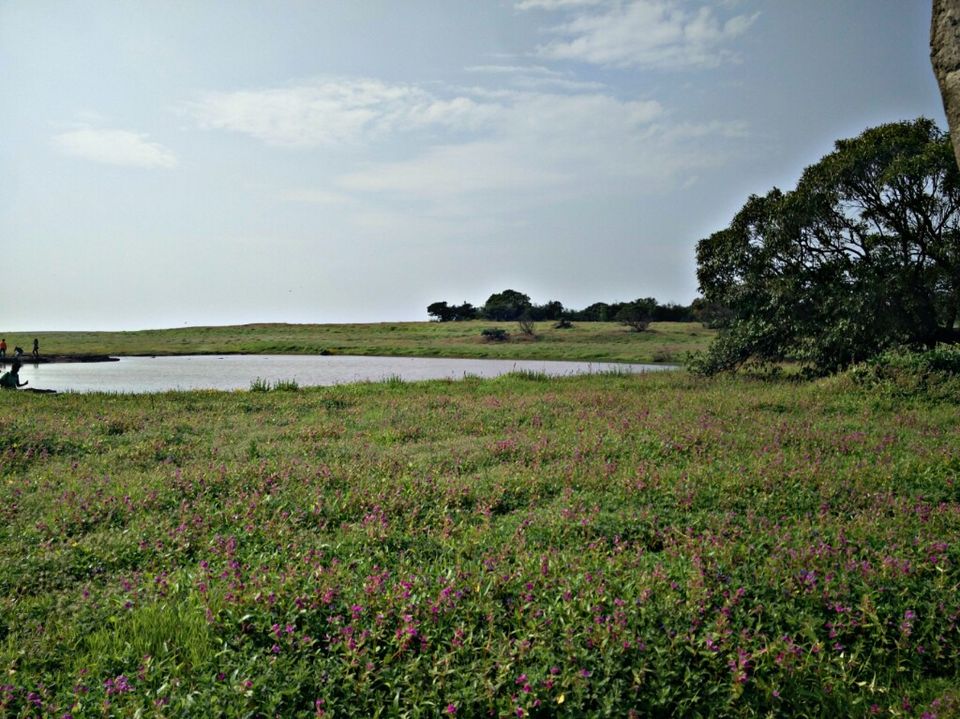 10 Things to remember while visiting Kaas Plateau - Tripoto