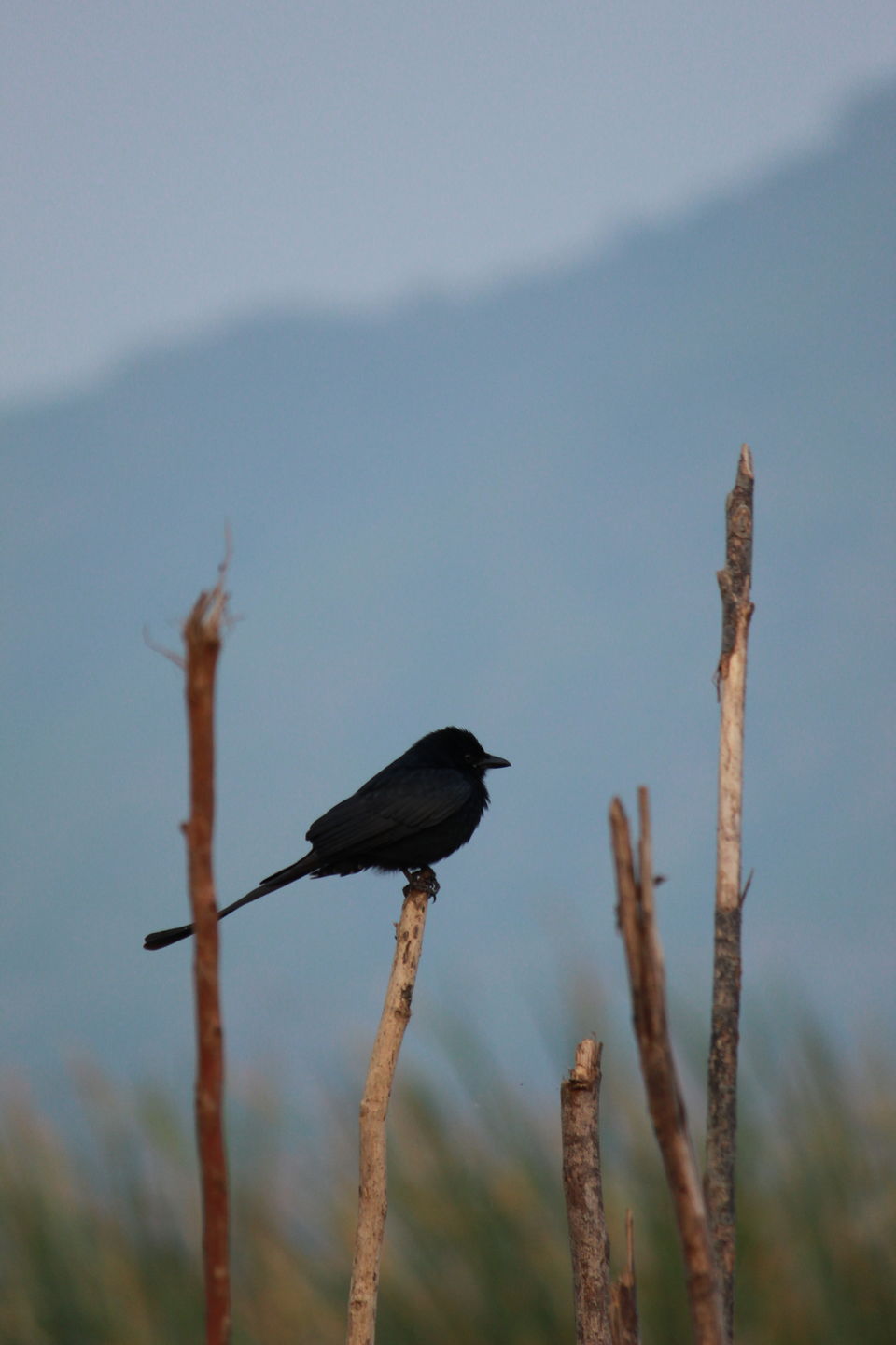 Hell speed ride to kondakarla ava : Bird sanctuaryHiddenGem - Tripoto