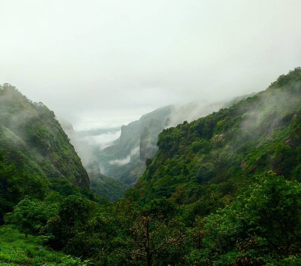 The Trails Dwelling in Darkness- Jungle Trek to Andharban - Tripoto