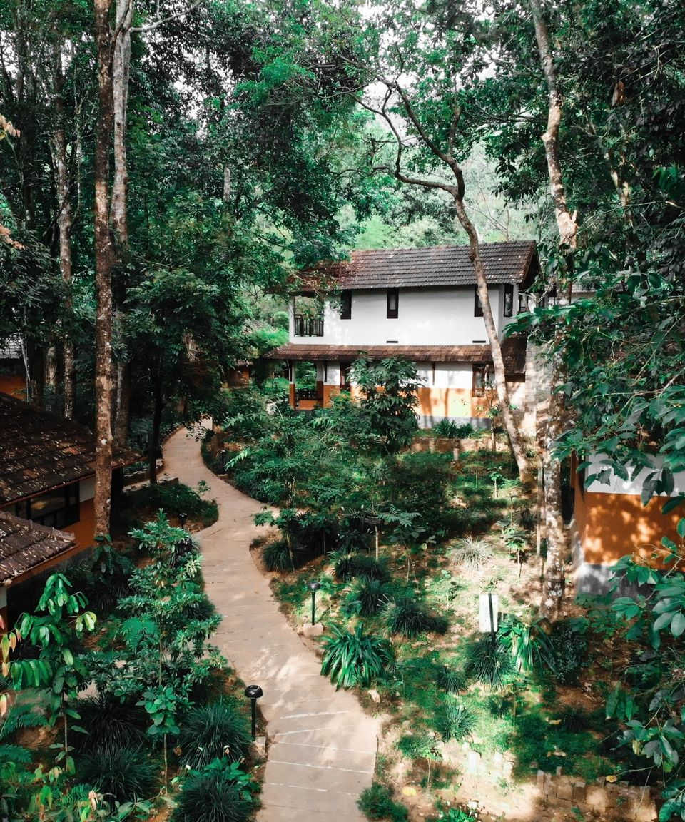 Visit this tree house resort in Kerala to experience your dream - Tripoto
