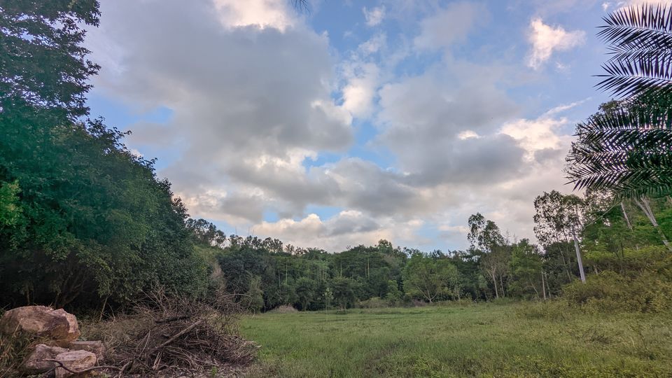 9 Traditional Sustainable Practices In India That We Must Revive to ...