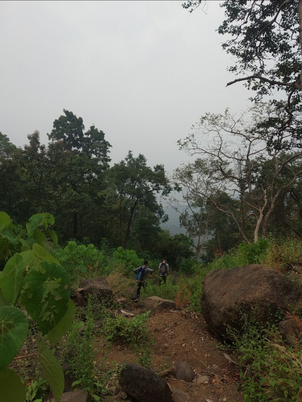Karnala fort - perfect for family trek - Tripoto