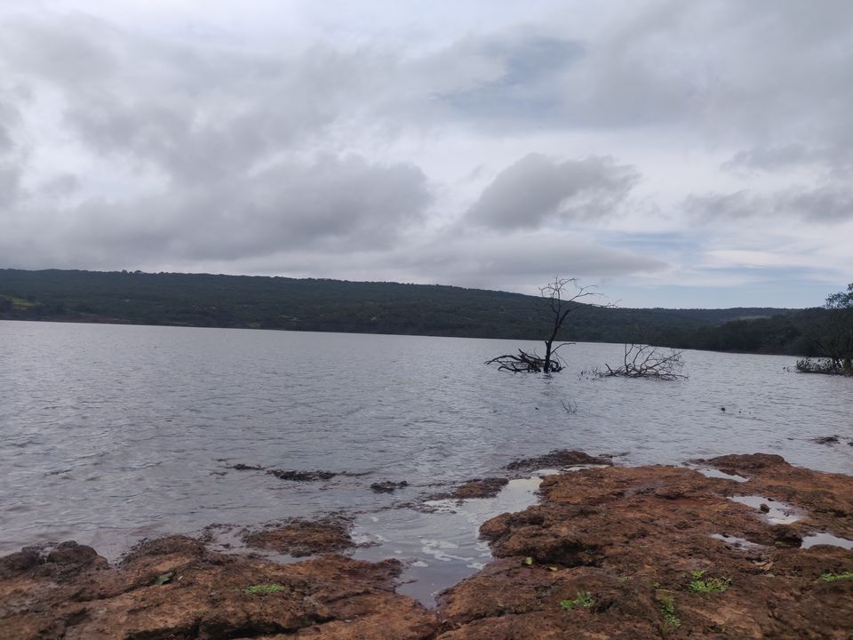 Kaas Plateau or Kaas Pathar - UNESCO World Natural Heritage Site - Tripoto
