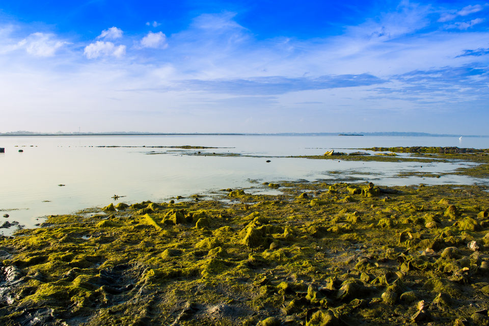 Morning Tales of Beautiful Buckingham Canal at Marakkanam, India - Tripoto