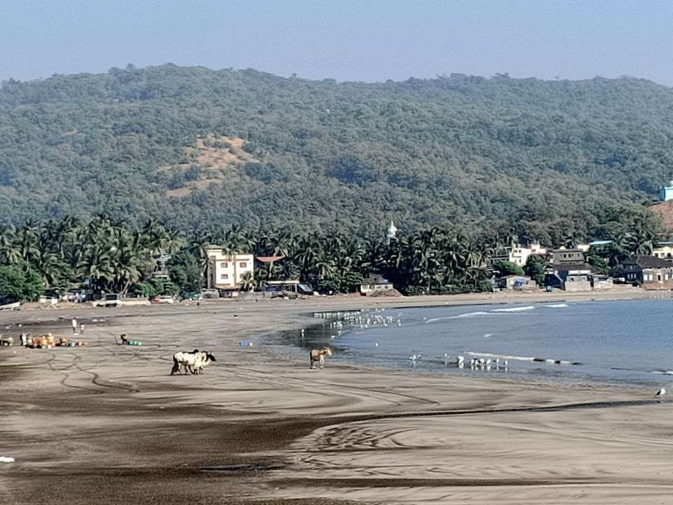 Konkan Trip for unexplored beaches, historical forts and water sports ...