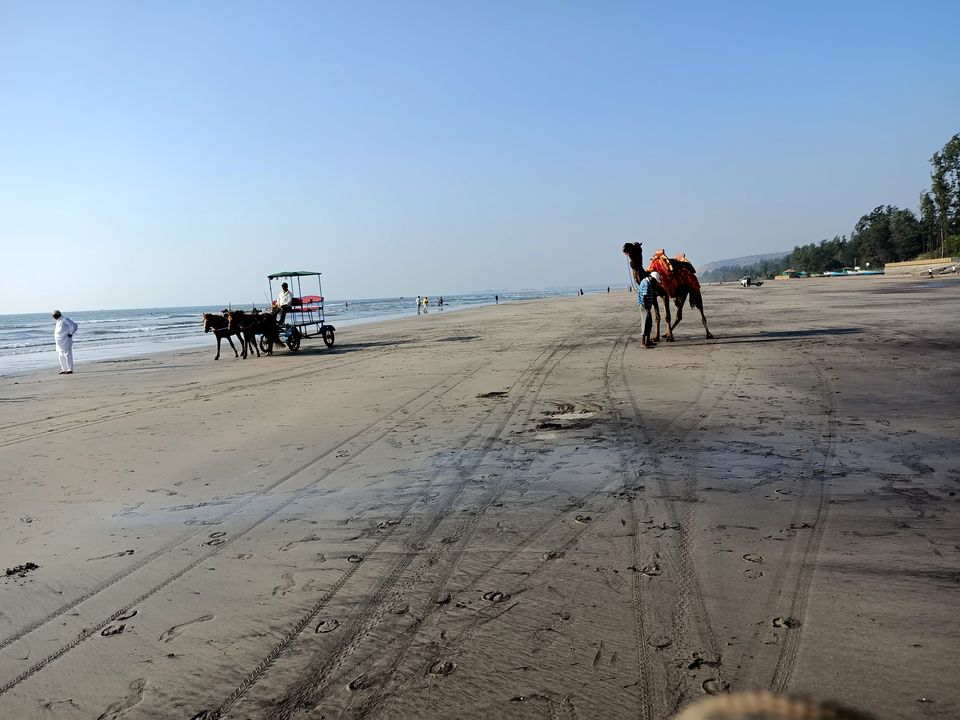 Konkan Trip for unexplored beaches, historical forts and water sports ...