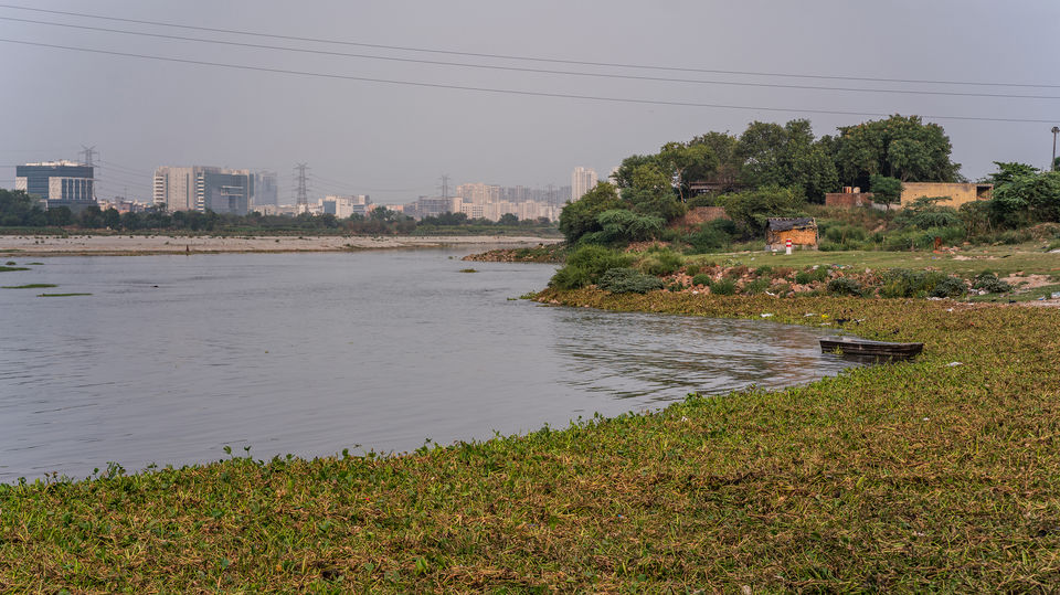 Humans are TOXIC || Before And After Lockdown Yamuna River - Tripoto