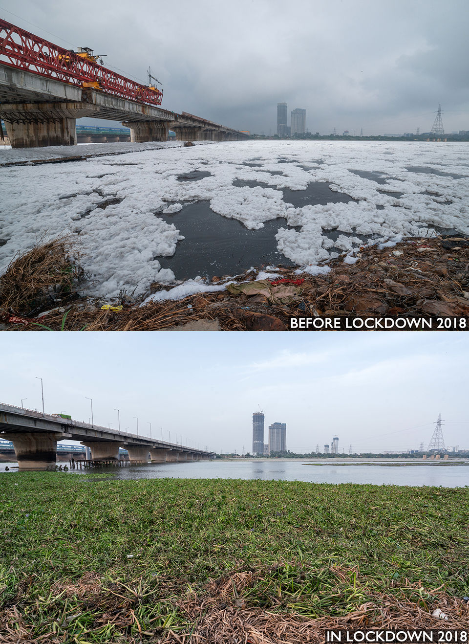 Humans are TOXIC || Before And After Lockdown Yamuna River - Tripoto