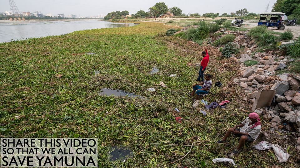 Humans are TOXIC || Before And After Lockdown Yamuna River - Tripoto