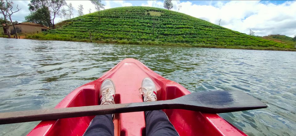 Nature at its Best in Vagamon | Kerala tripototravelvideo - Tripoto