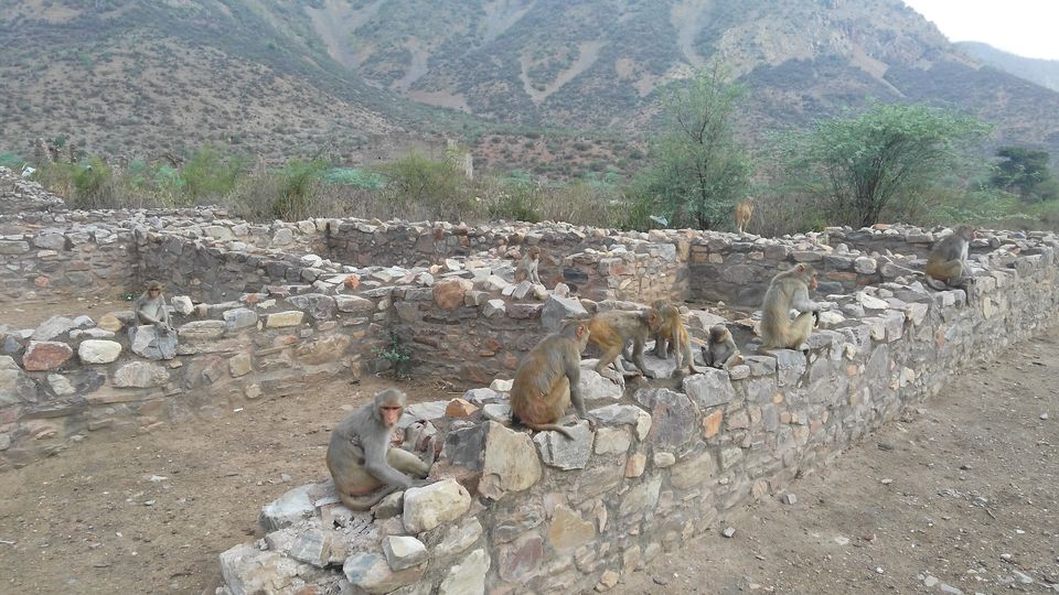 Inside Bhangarh Fort – The Most Haunted Place In India - Tripoto