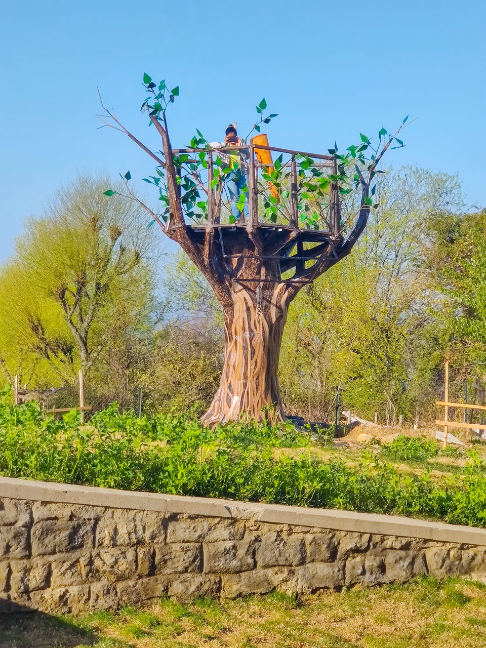 Bir Zostel 2.0, Not a luxury but an Utopia of Awesomeness in Budget ...