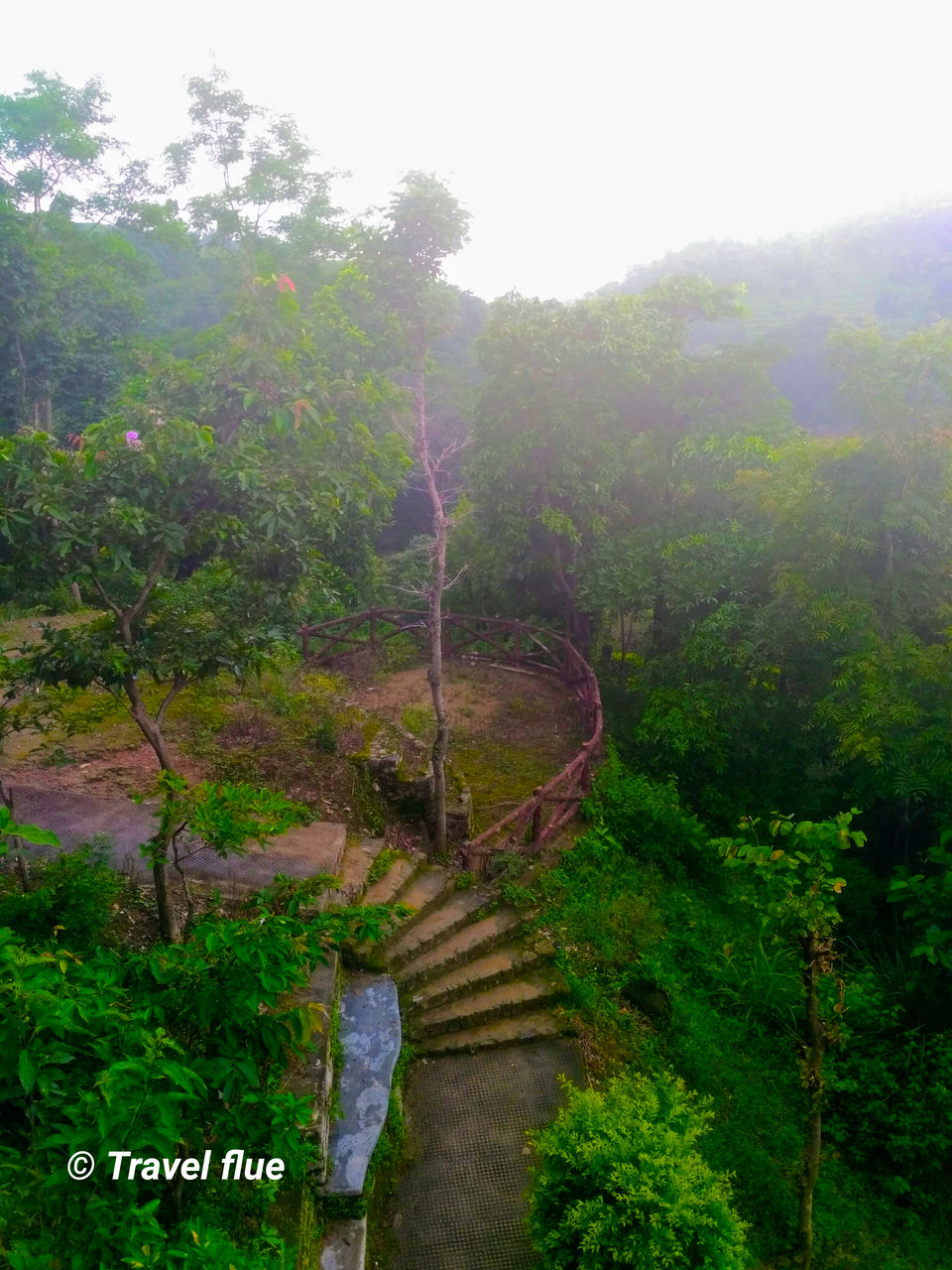 Morni Hills- A Mesmerized Journey - Tripoto