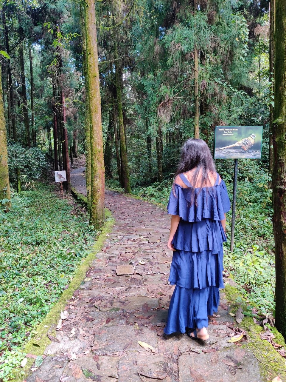 West Sikkim-Indias first sky glasswalk - Tripoto