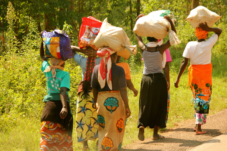 The Gorilla Loop - Kenya, Uganda Rwanda - Tripoto