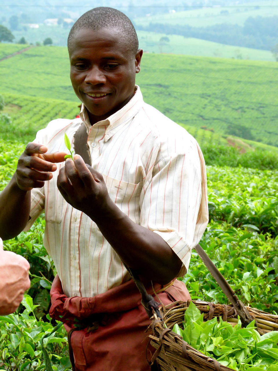 The Gorilla Loop - Kenya, Uganda Rwanda - Tripoto