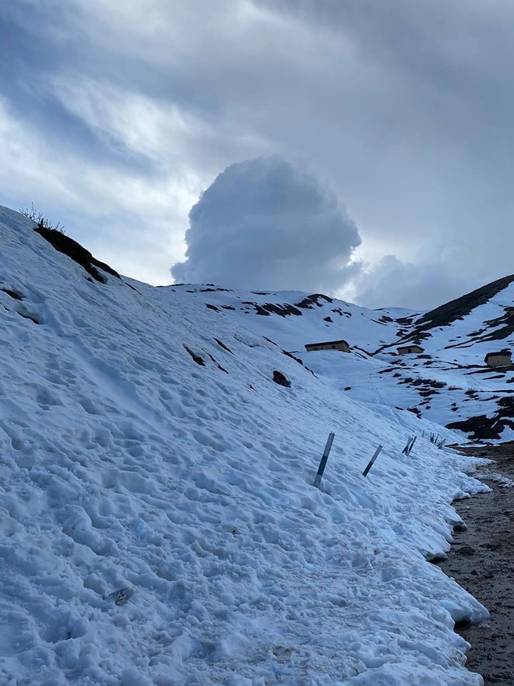 Trip to Amritsar ,Katra and Natha Top Jammu - Tripoto