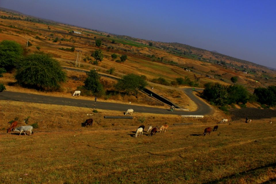 Indore - Choral Dam | A 150 Kilometer Detour | TVS Jupiter - Tripoto