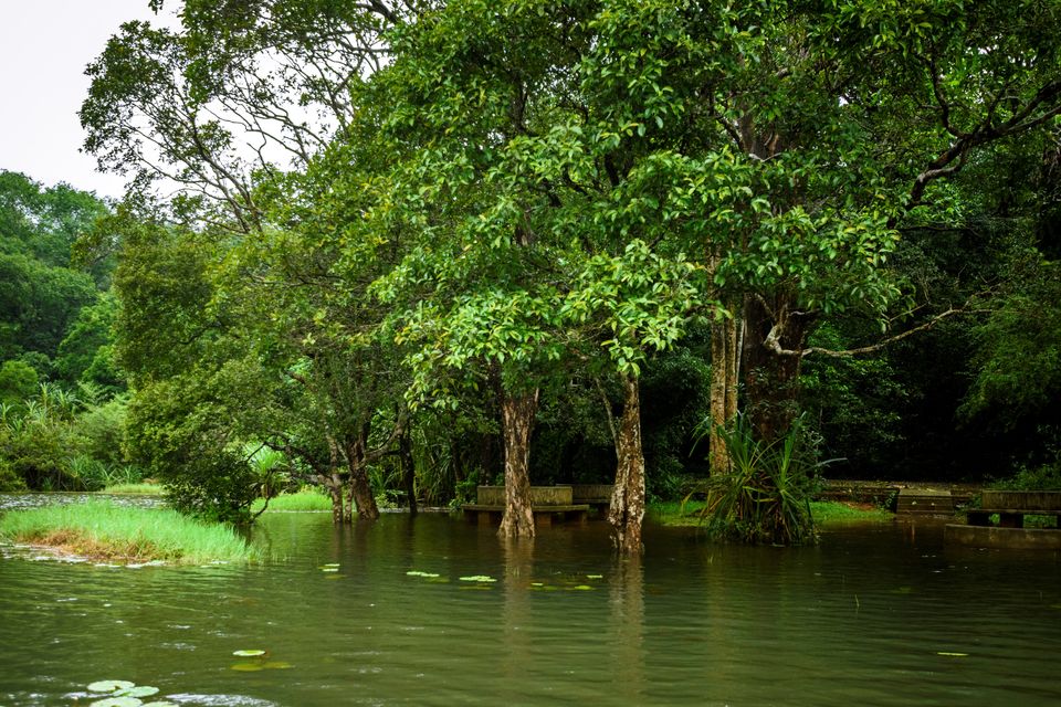 Wayanad In a Monsoon Weekend - Tripoto