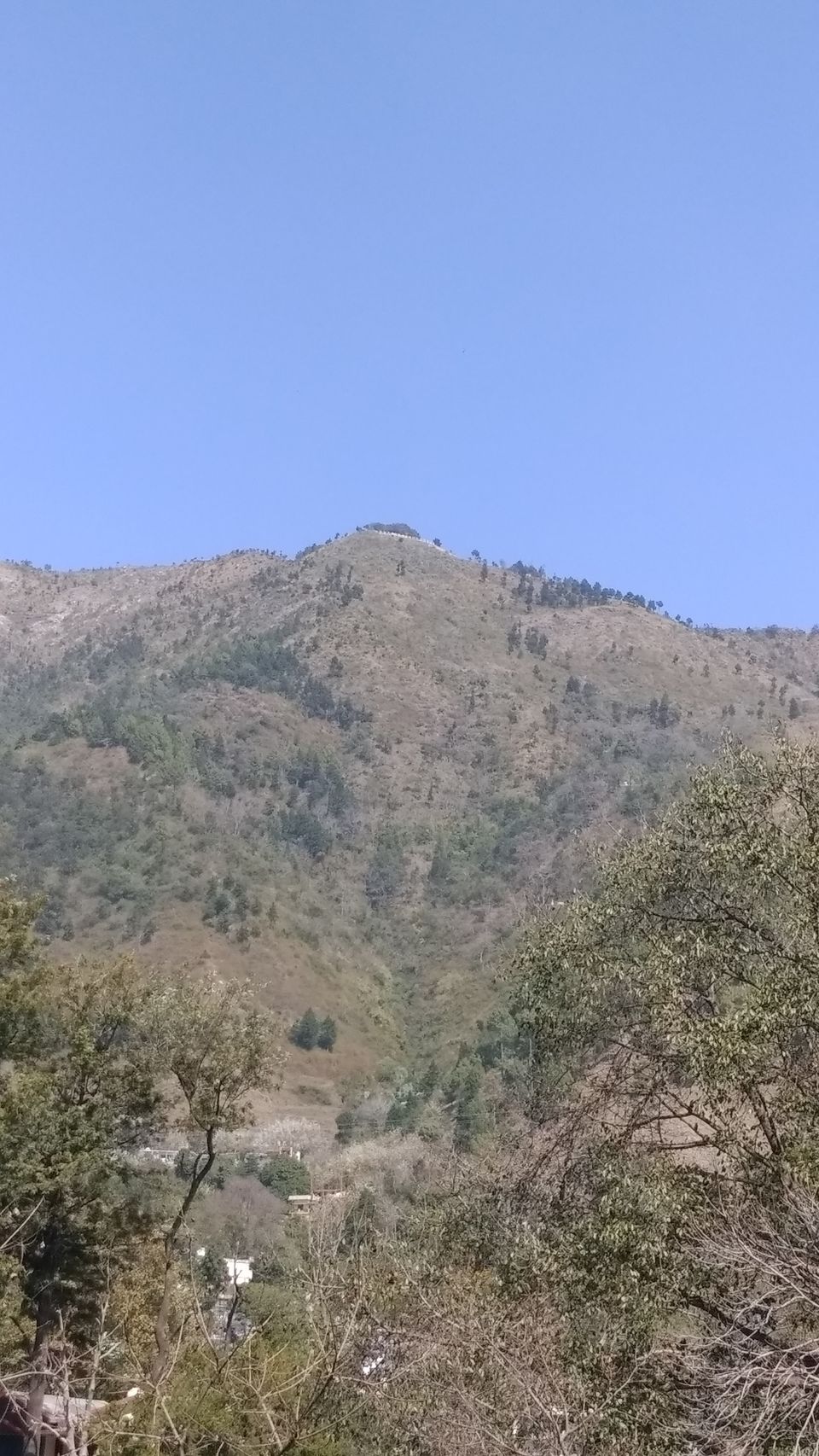 Trek to a serene place: Karkotak Peak - Tripoto